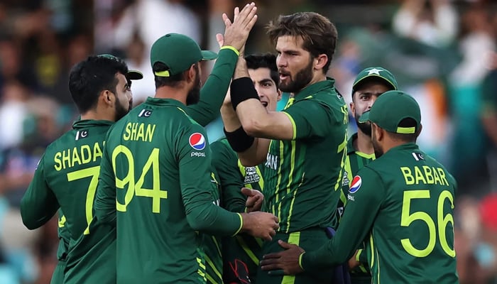 T20 World Cup: Two Pakistan players named in Team of the Tournament ...