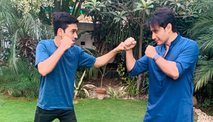 Ali Zafar, Shahid Afridi lend financial support to world champion ...