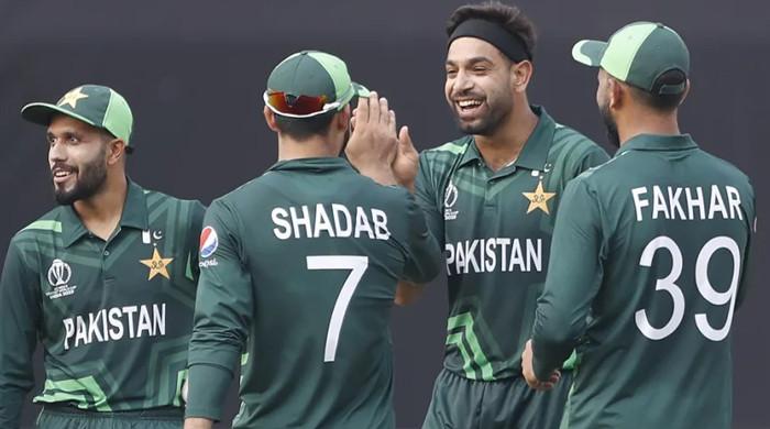 Pakistan eye easier ride on World Cup rollercoaster - International ...